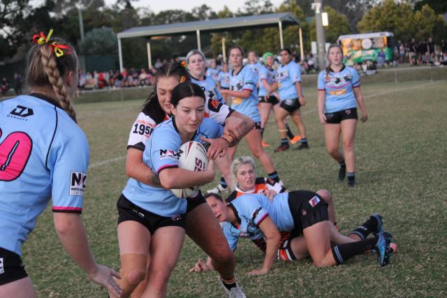 Mixed results at Kingfisher home games - Beaudesert Times