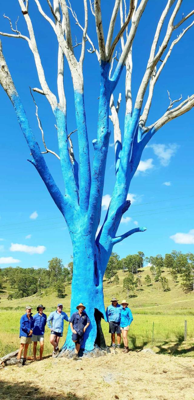 Blue Tree a comfort on World Mental Health Day - Beaudesert Times