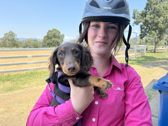 Happenings across the district - Beaudesert Times