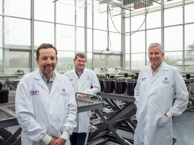 Key genotypes in plants and livestock - Beaudesert Times