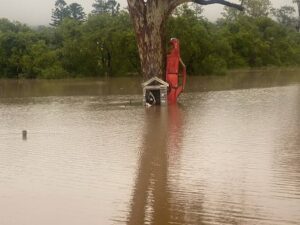 Major flood warning issued for the Logan River - Beaudesert Times