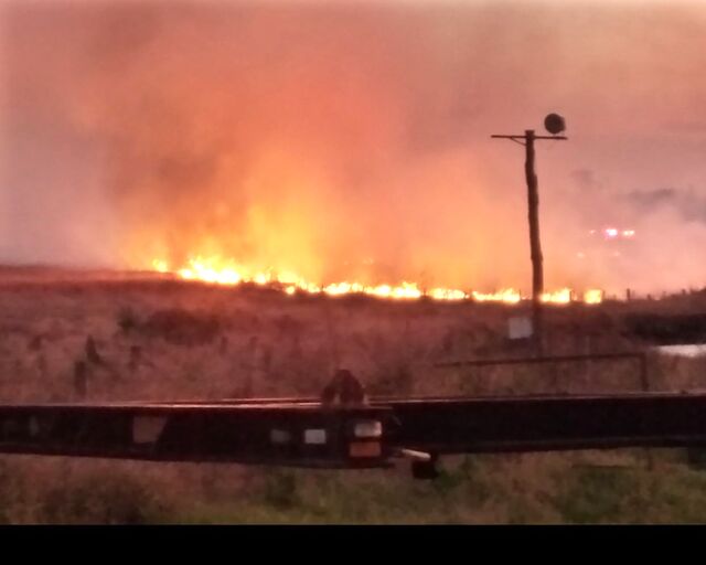 Undullah property under fire - Beaudesert Times