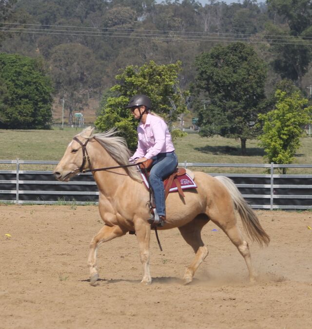 Pony club riding high - Beaudesert Times
