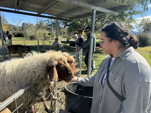 On the Farm Gate Trail - Beaudesert Times